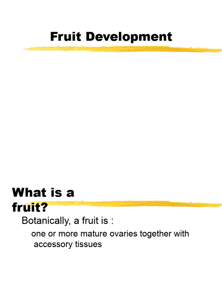 Chapter 9 (Part 2) | PDF