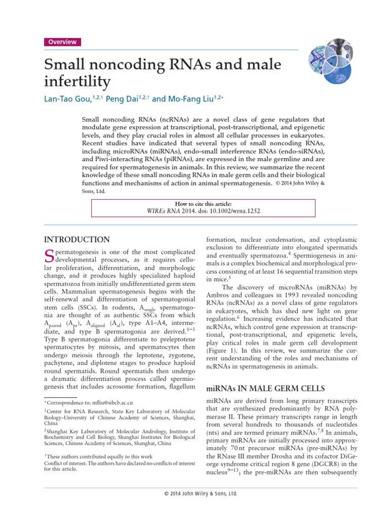 Small Noncoding RNAs and Male Infertility | PDF | Micro Rna | Rna