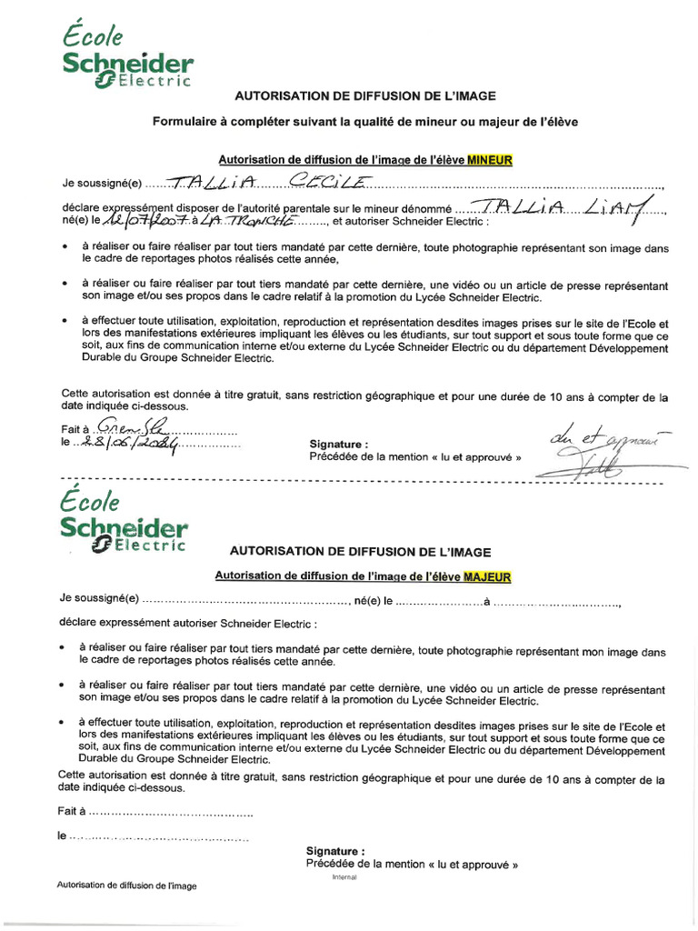 Autorisation de Diffusion de L'image | PDF