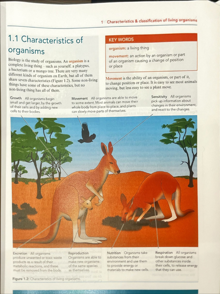 CHPT 1 Bio Characteristics and Classification of Living Organisms IGCSE ...