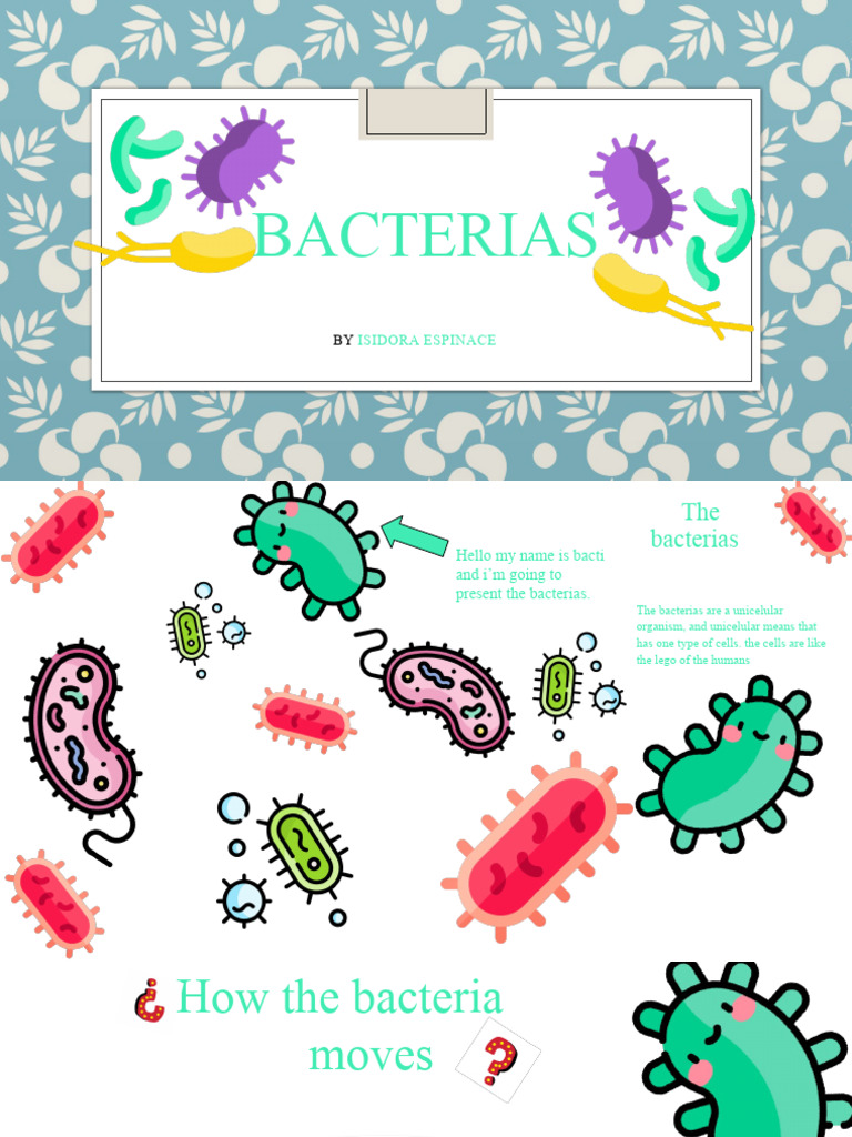 Bacterias Pdf Bacteria Cell Biology