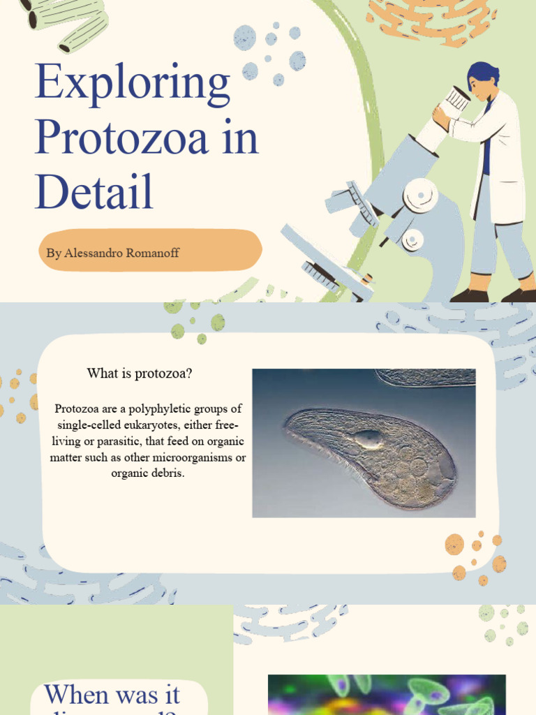 Exploring Protozoa in Detail | PDF | Science & Mathematics