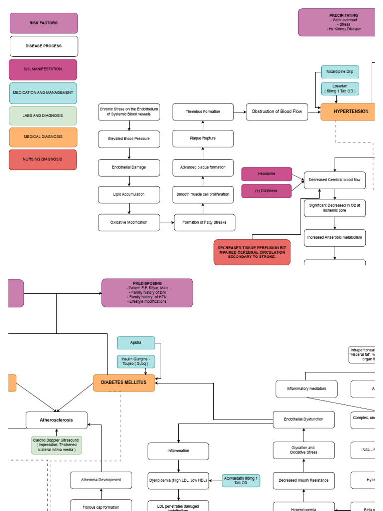 PATHO Drawio | PDF | Endothelium | Inflammation