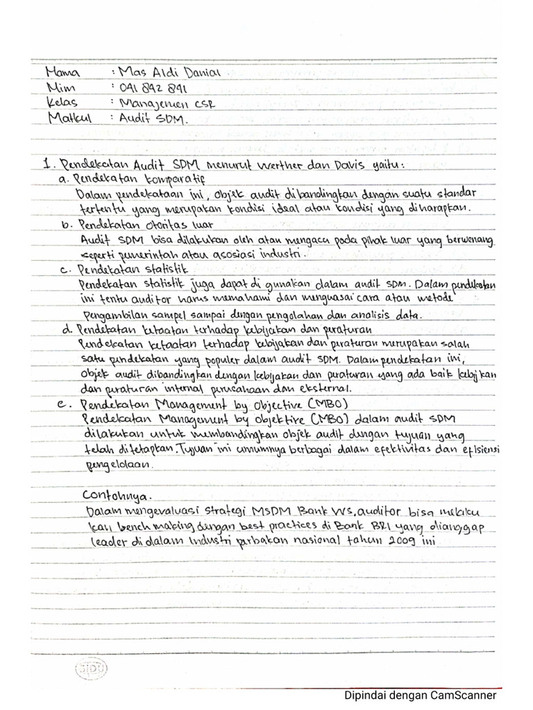 Audit Sdm Pdf