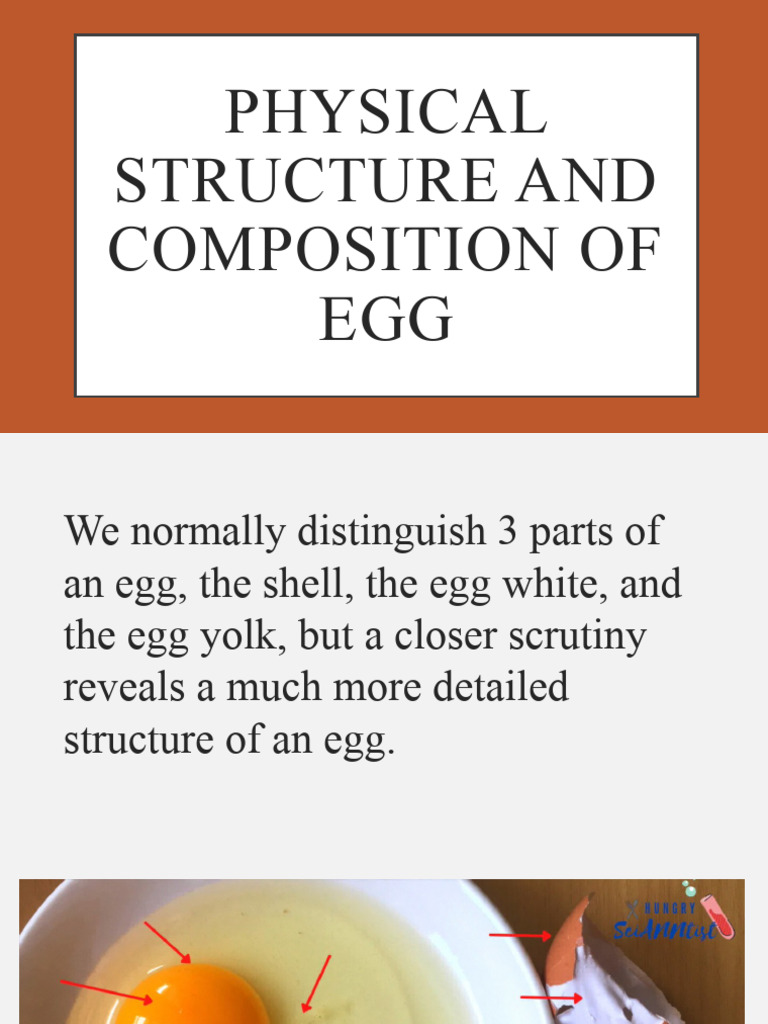 Physical Structure and Composition of Egg | PDF | Egg White | Yolk