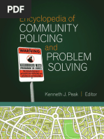 Crime Analysis Report - Template | PDF | Microsoft Excel | Data Analysis