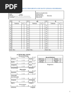 Protocolo de Prueba Raven: Formato y Diagnóstico | PDF