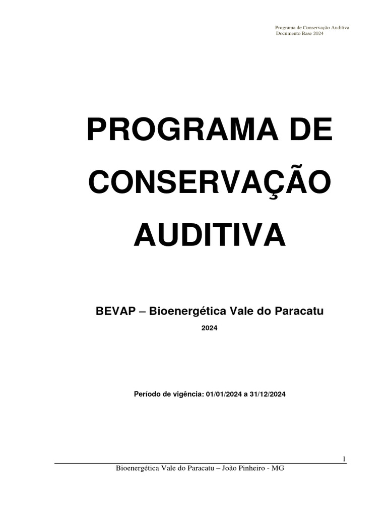 PCA BEVAP Documento de Base 2024 | PDF | Som | Gestão de recursos humanos