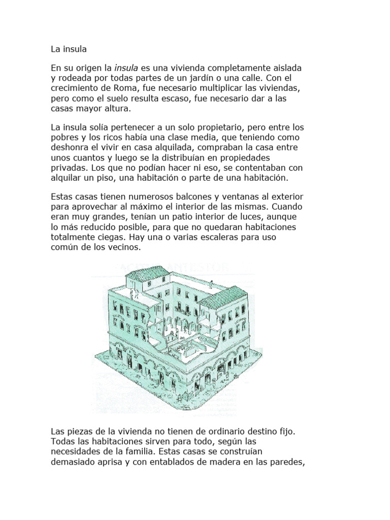 La Insula | PDF