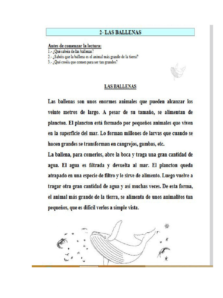 Lectura Las Ballenas | PDF