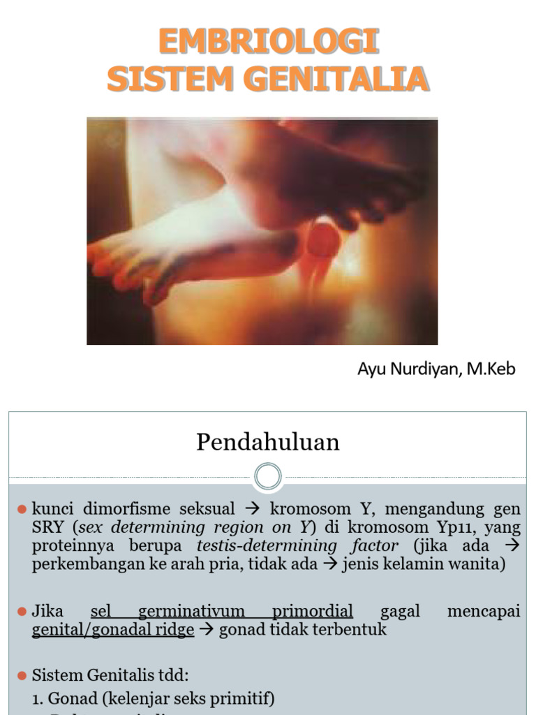 Embriologi Sistem Reproduksi | PDF | Ilmu Sosial | Kesehatan Holistik