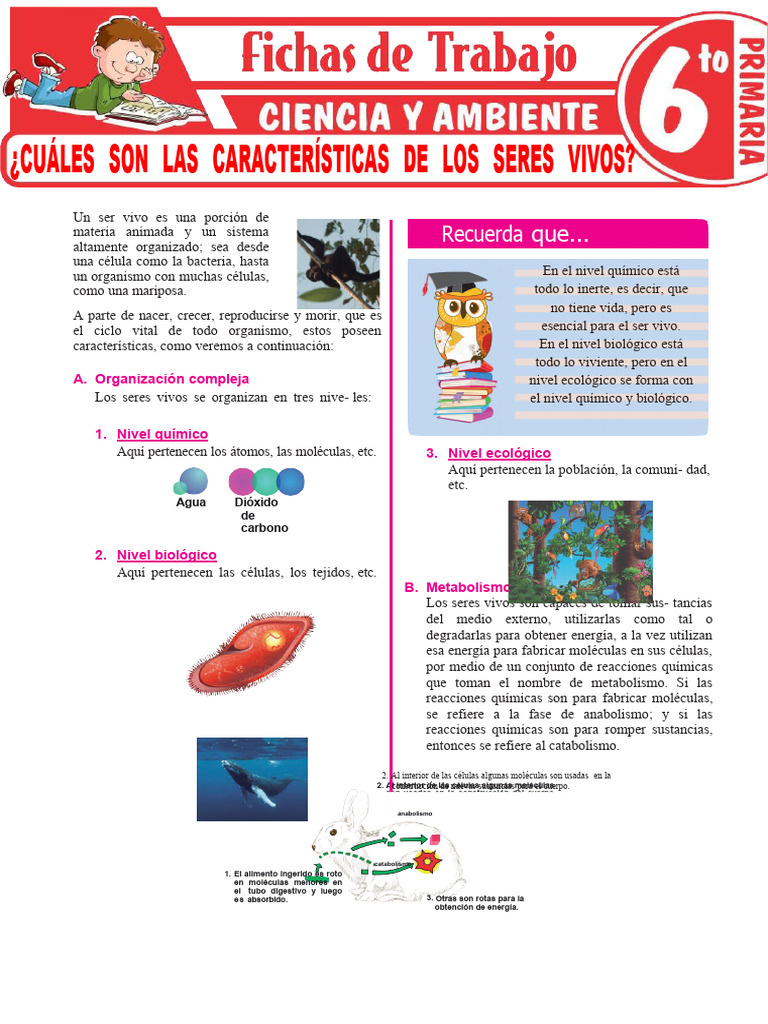 Seres Vivos Sexto Primaria | PDF | Organismos | Reproducción