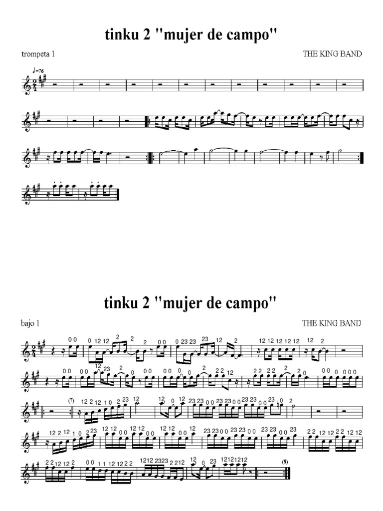 Tinku 2 | PDF