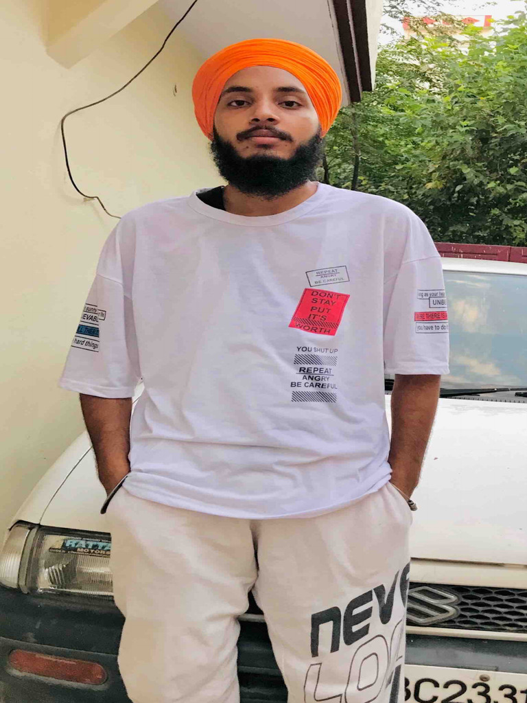 Class 10 Punjabi Project Guide | PDF