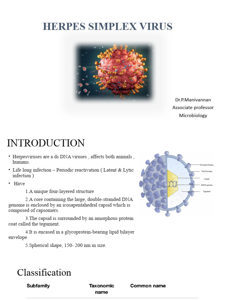 Herpes Simplex Virus | PDF | Microbiology | Virology