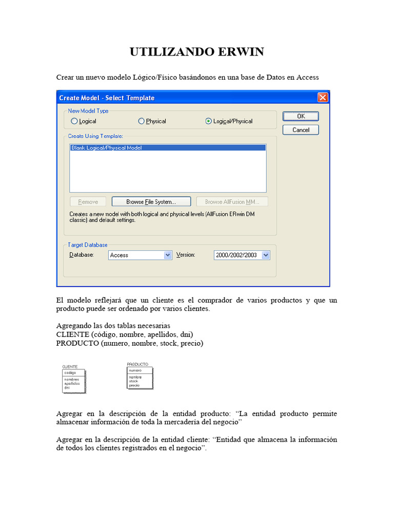 Utilizando Erwin | PDF | Software | Informática