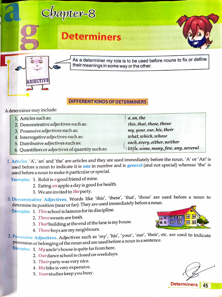 Understanding Determiners | PDF | Adjective | Noun