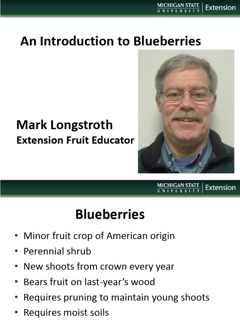 Blueberries 101 | PDF | Sulfur | Soil