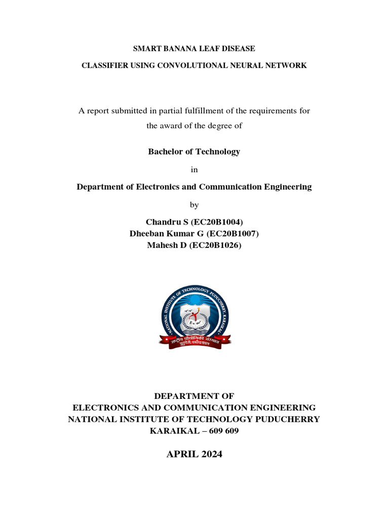 Final Report Phase 2 | PDF | Deep Learning | Image Editing