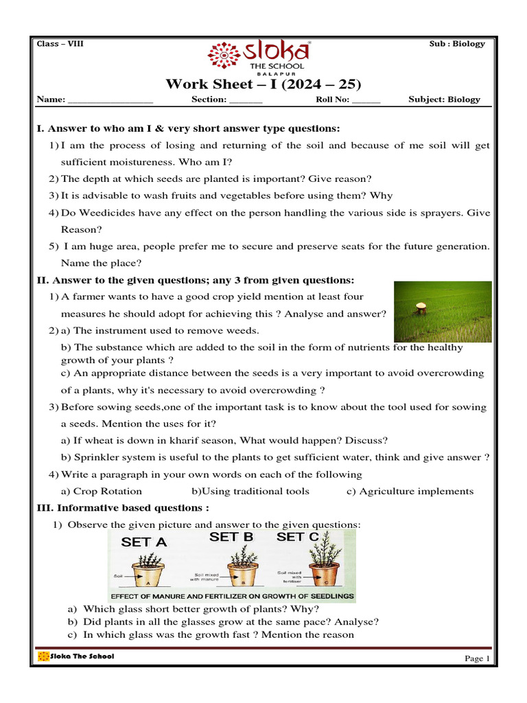 Grade - 8 Biology Workheet | PDF | Sowing | Wheat