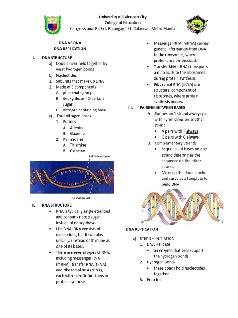 Dna Vs Rna Dna Replication Pdf Rna Dna Replication