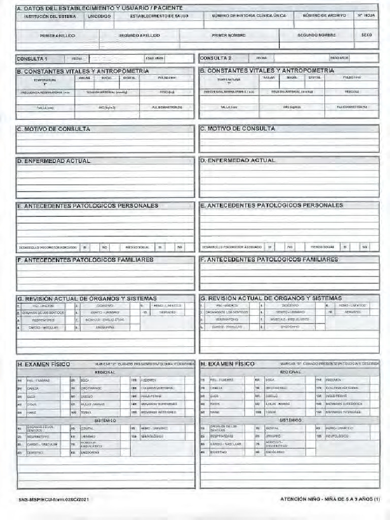 Sns MSP Form 028c | PDF