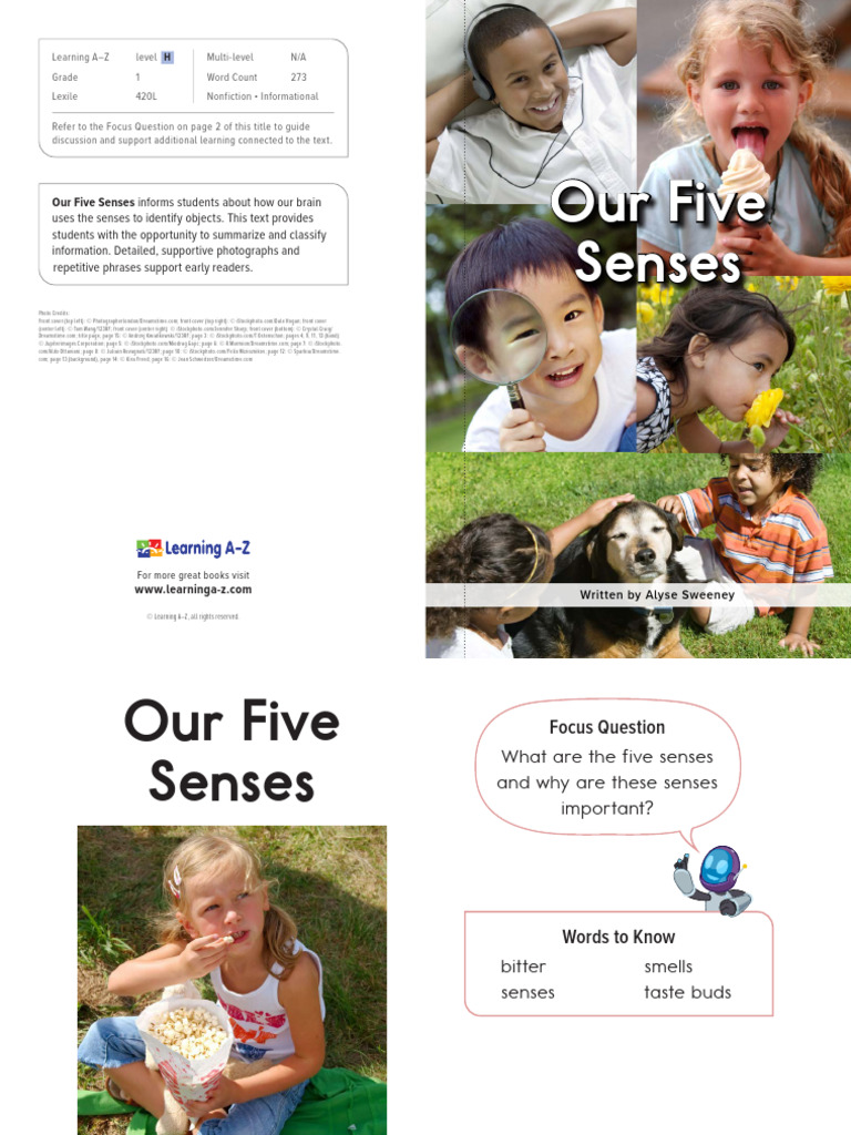 Understanding Our Five Senses | PDF | Taste | Senses