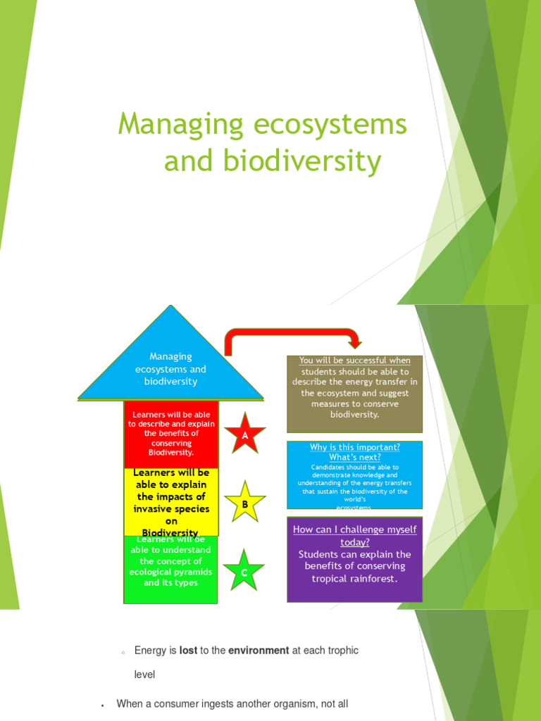 Ecological Pyramid | PDF | Biodiversity | Invasive Species