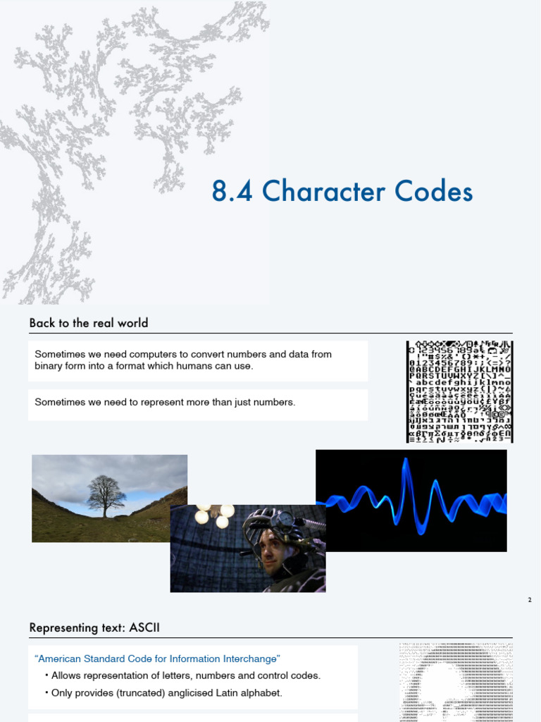 8.4 Character Codes | PDF | Character Encoding | Ascii