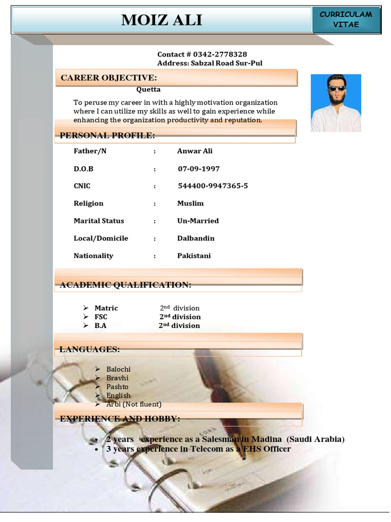 Moiz Ali's Professional CV Overview | PDF