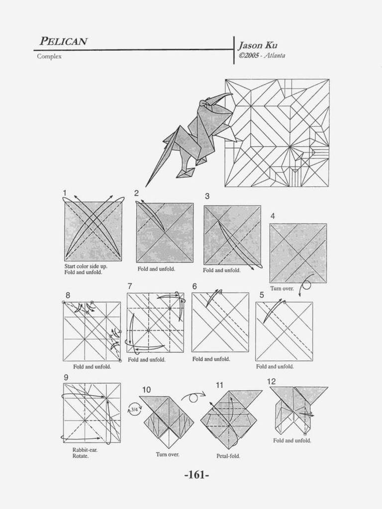 Jason Ku - Pelican | PDF