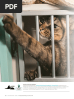 Cat FAS and Frustration Management Guide | PDF