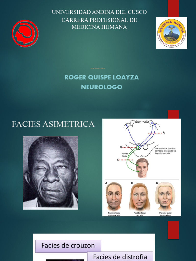 Facies y Actitud | PDF | Pie | Sistema nervioso
