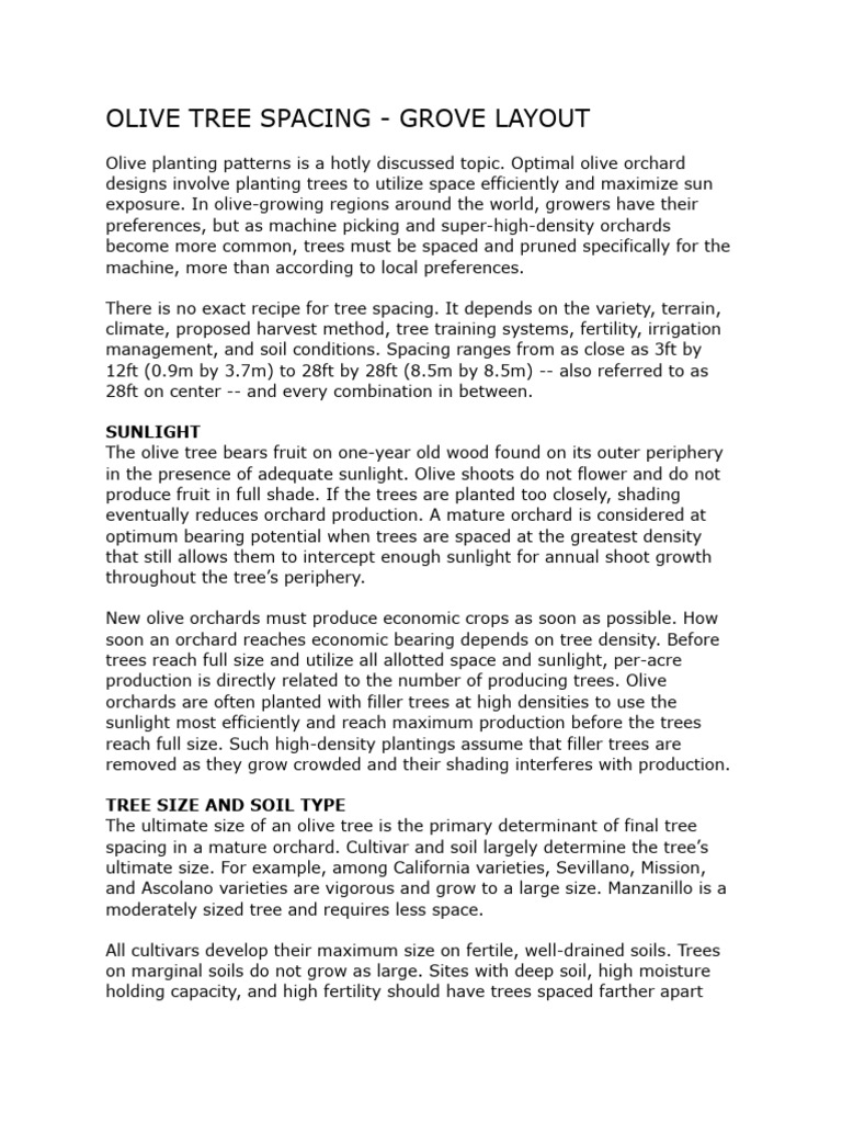 Basic Olive Grove Design | PDF | Olive | Trees