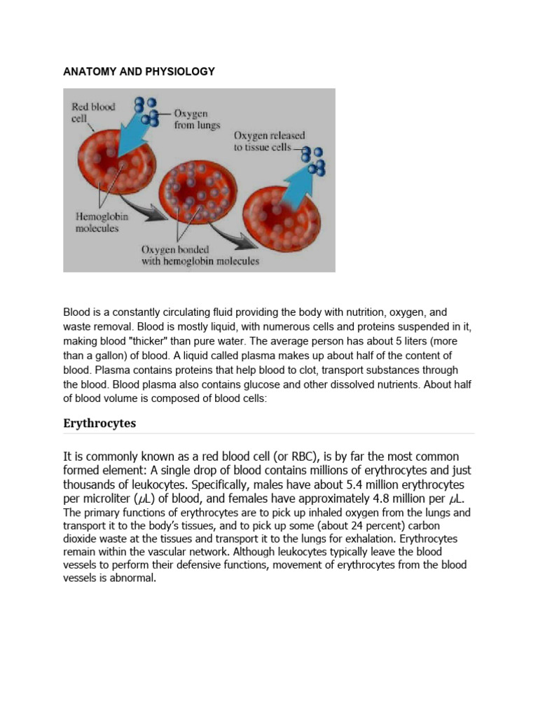 ANAPHY and PATHOPHYSIOLOGY OF ANEMIA | PDF | Red Blood Cell | Hemoglobin