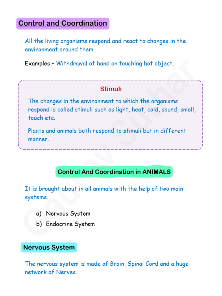 Control and Coordination in Organisms | PDF | Nervous System | Brain