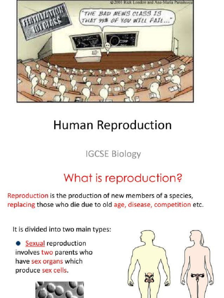 Human Reproduction | PDF