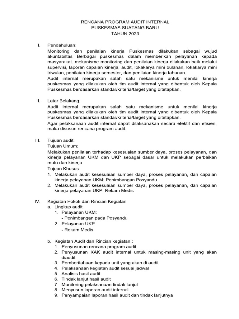 Rencana Program Audit Internal | PDF