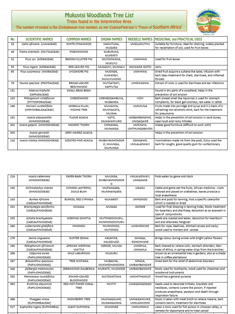 Mukuvisi Woodlands Tree List 2016 | PDF | Trees | Ficus