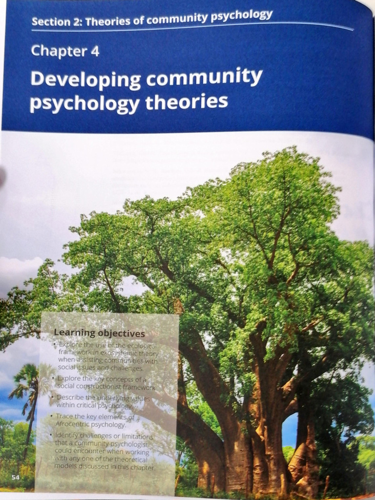 Community Psychology Chapter 4 | PDF
