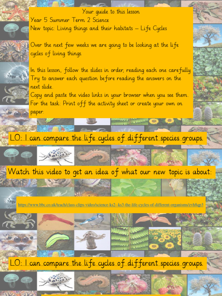 Science Life Cycles Lesson 1 | PDF | Flowers | Egg