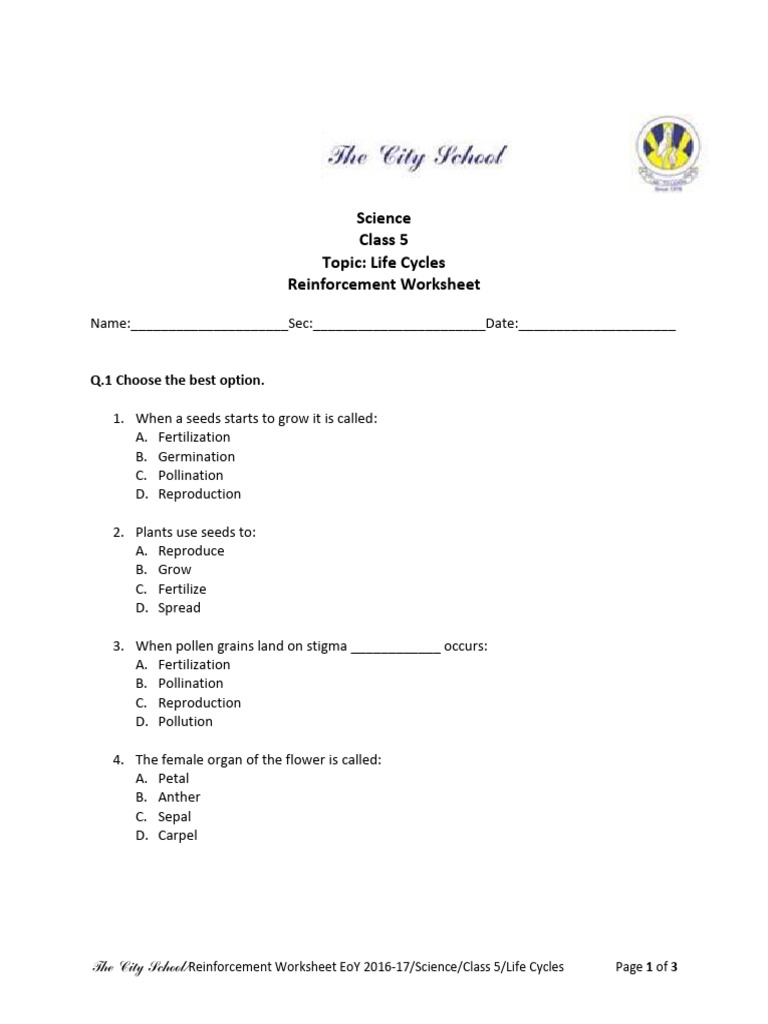 Class 5 Science Life Cycles Worksheet | PDF | Flowers | Pollination