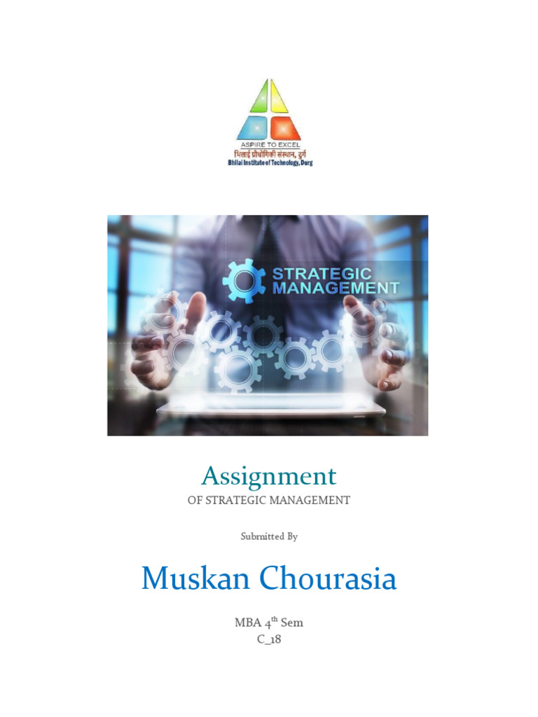 Assignment Muskan | PDF | Strategic Management | Performance Indicator