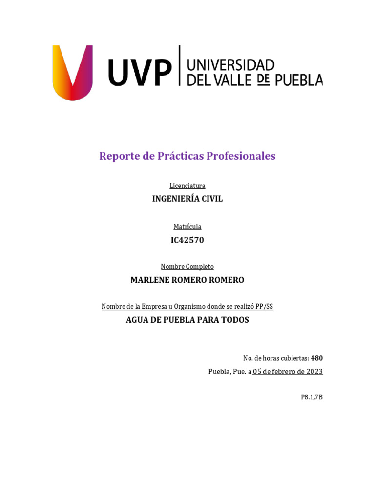 Reporte Final de PP-SS | PDF | Calidad (comercial) | Business