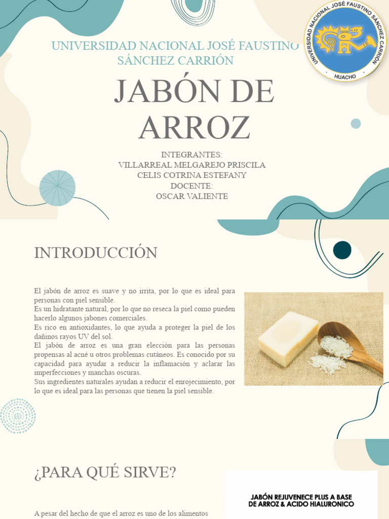 Jabón de Arroz | PDF | Petróleo | Jabón
