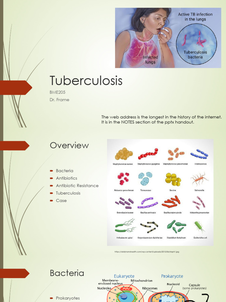 Week 11 Tuberculosis Lecture handout | PDF | Tuberculosis | Cell (Biology)