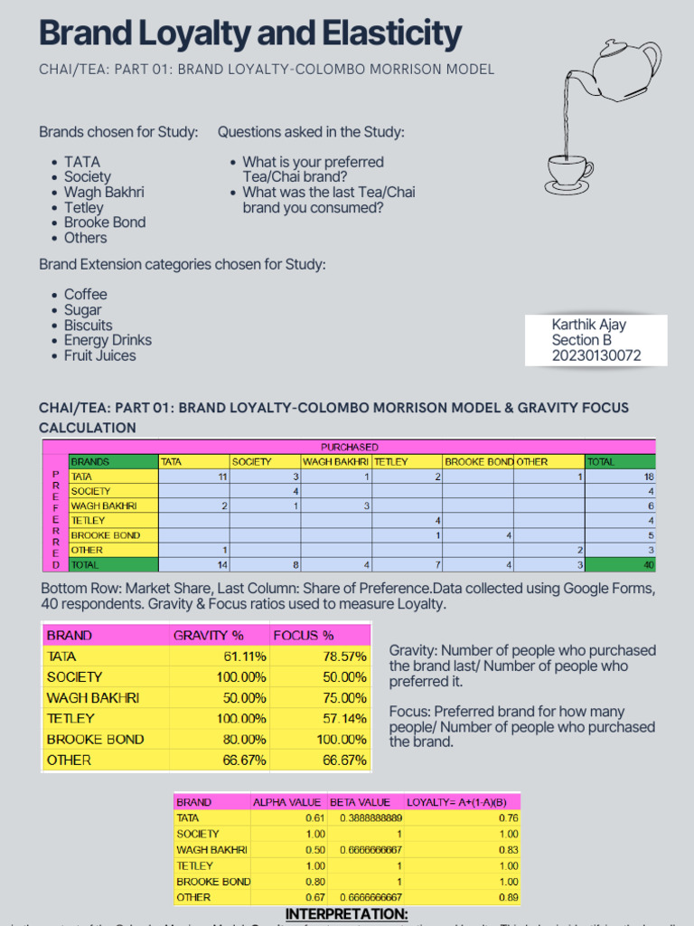 Section B | PDF | Brand | Target Audience