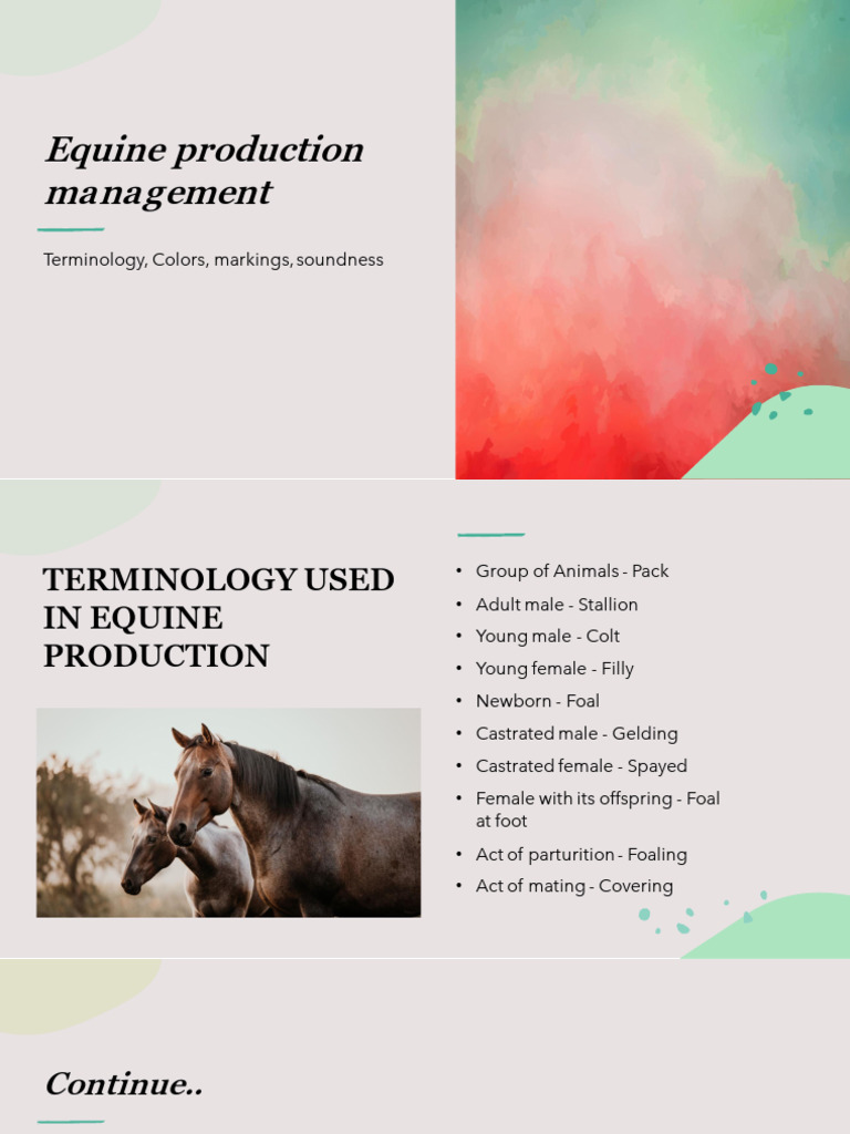 Equine Color, Breed, Markings, Unsoundness | PDF | Horses | Pony