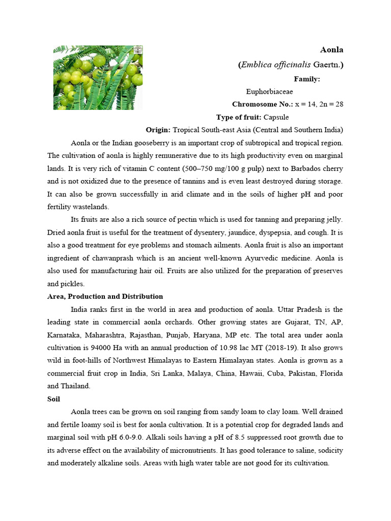Aonla | PDF | Flowers | Trees