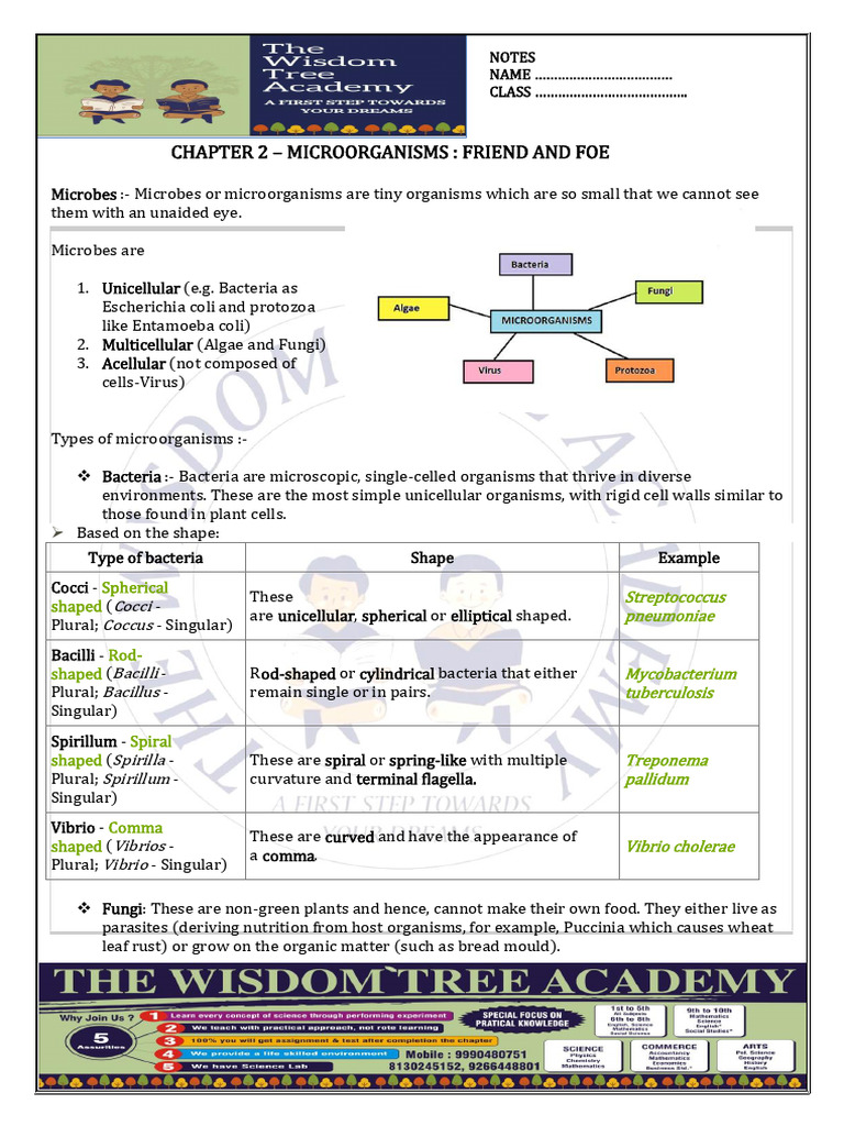 Microorganisms Friend and Foe Class 8th | PDF | Microorganism | Virus